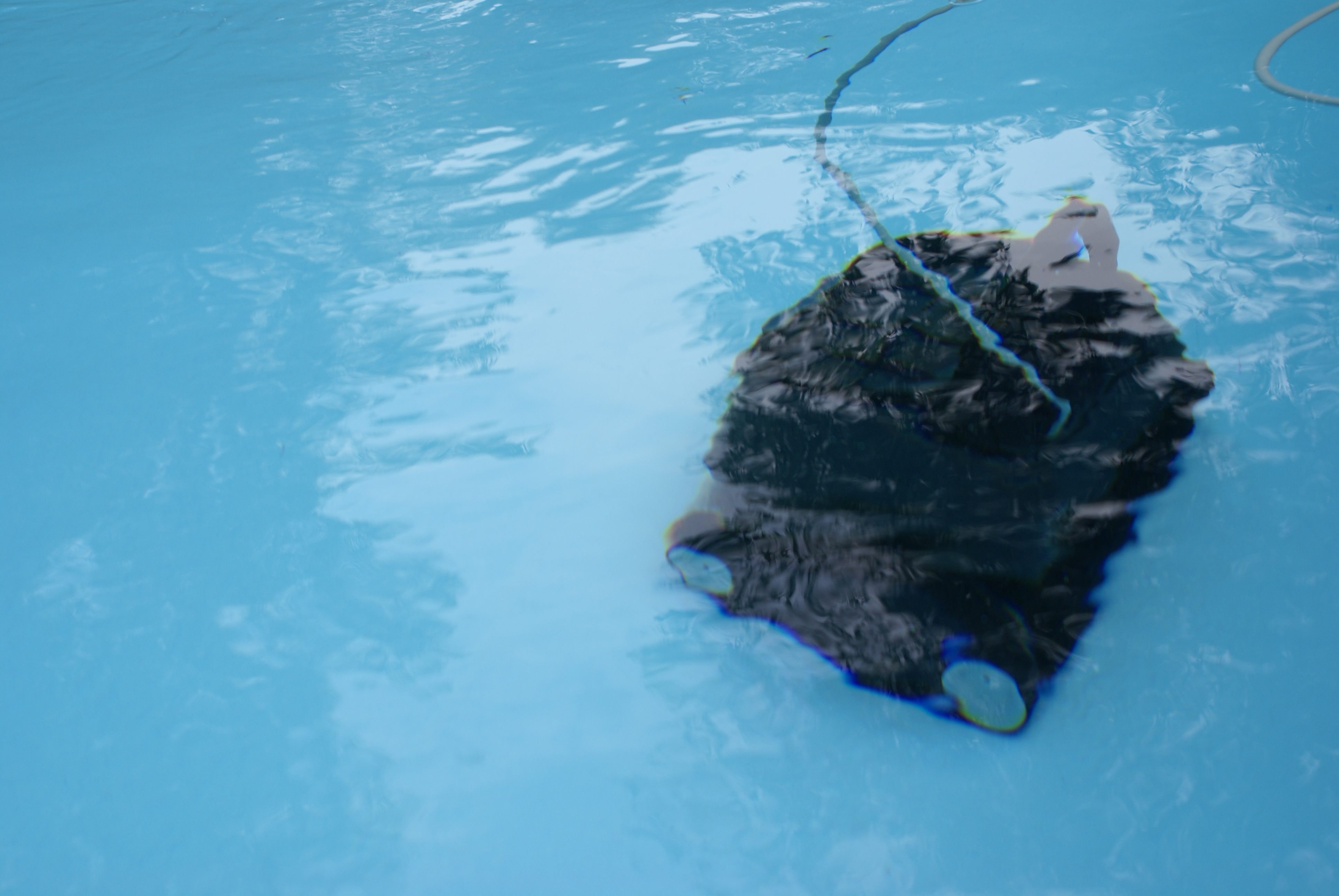 Swim And Fun - Scooby Pool Robot - Litenleker.se